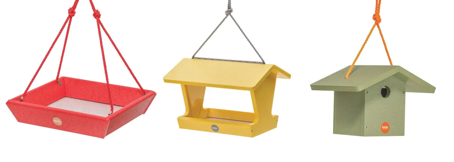 Color Pop Feeders by Birds Choice – ForTheBirds.com